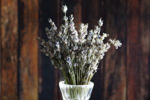 How to Harvest & Dry Lavender