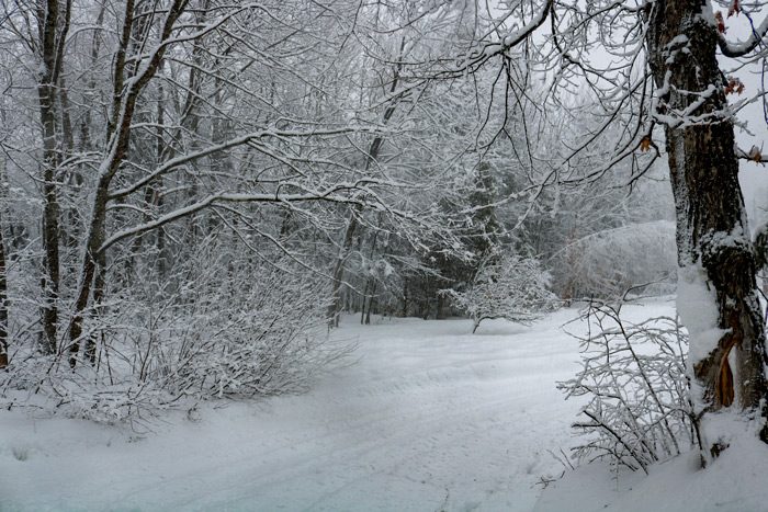 Our First Big Snowstorm of the Year