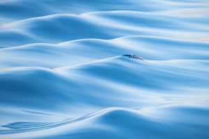 Interviewing Fine Art Photographer Andrew Desiderio of DesiDrew Photography