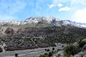 Visiting the Spring Mountains National Recreation Area, Also Known as ...