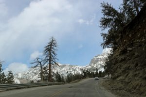 Visiting the Spring Mountains National Recreation Area, Also Known as ...