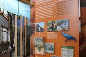 Visiting the Spring Mountains National Recreation Area, Also Known as ...