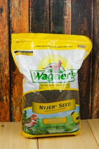 How to Make Your Yard a Bird-Friendly Habitat for the Spring